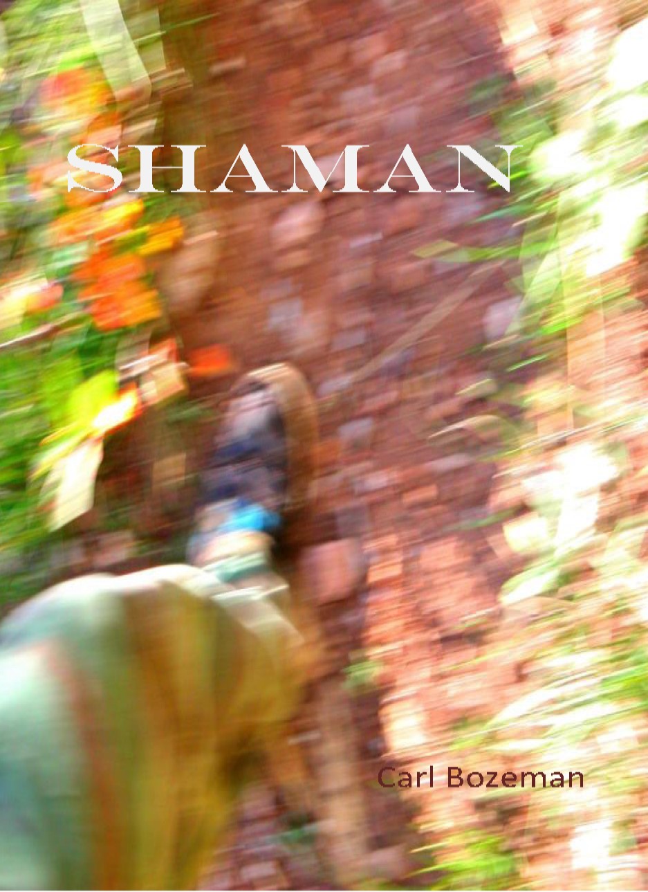 Books – Carl Bozeman